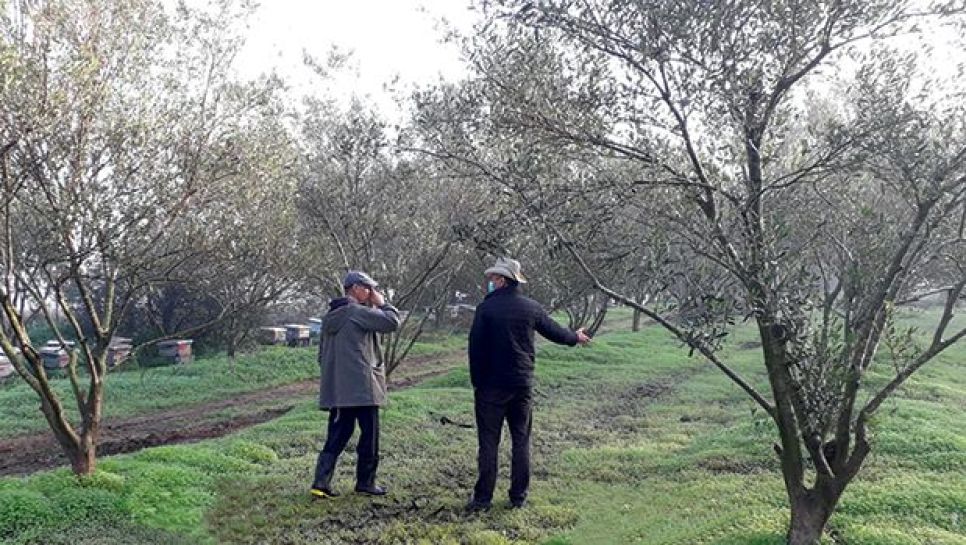 LE COLLECTIF TORBA AU CHEVET DES ZONES SINISTRÉES : Transplantation de ...