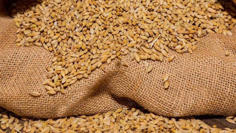 SÉTIF : D’importantes quantités d'aliments de bétail et de volaille et ...