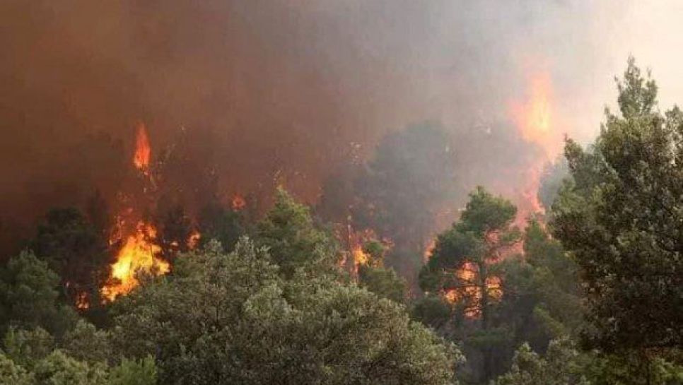 L’INCENDIE S’EST DÉCLARÉ DIMANCHE À TAMZA (KHENCHELA) : DES DIZAINES D ...